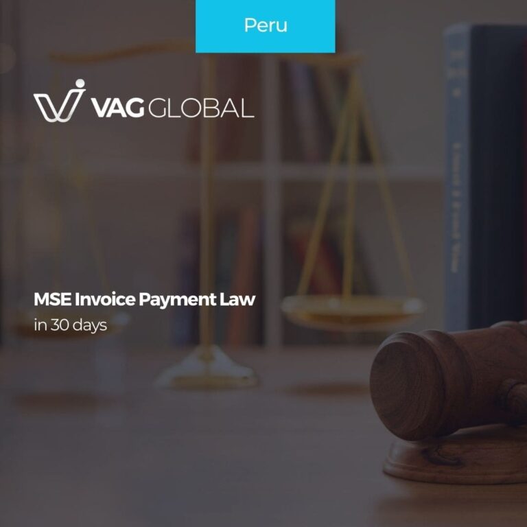 MSE Invoice Payment Law in 30 days - VAG GLOBAL